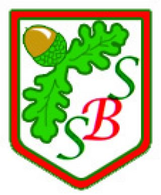 South Baddesley Primary School - Trasch Member Profiles